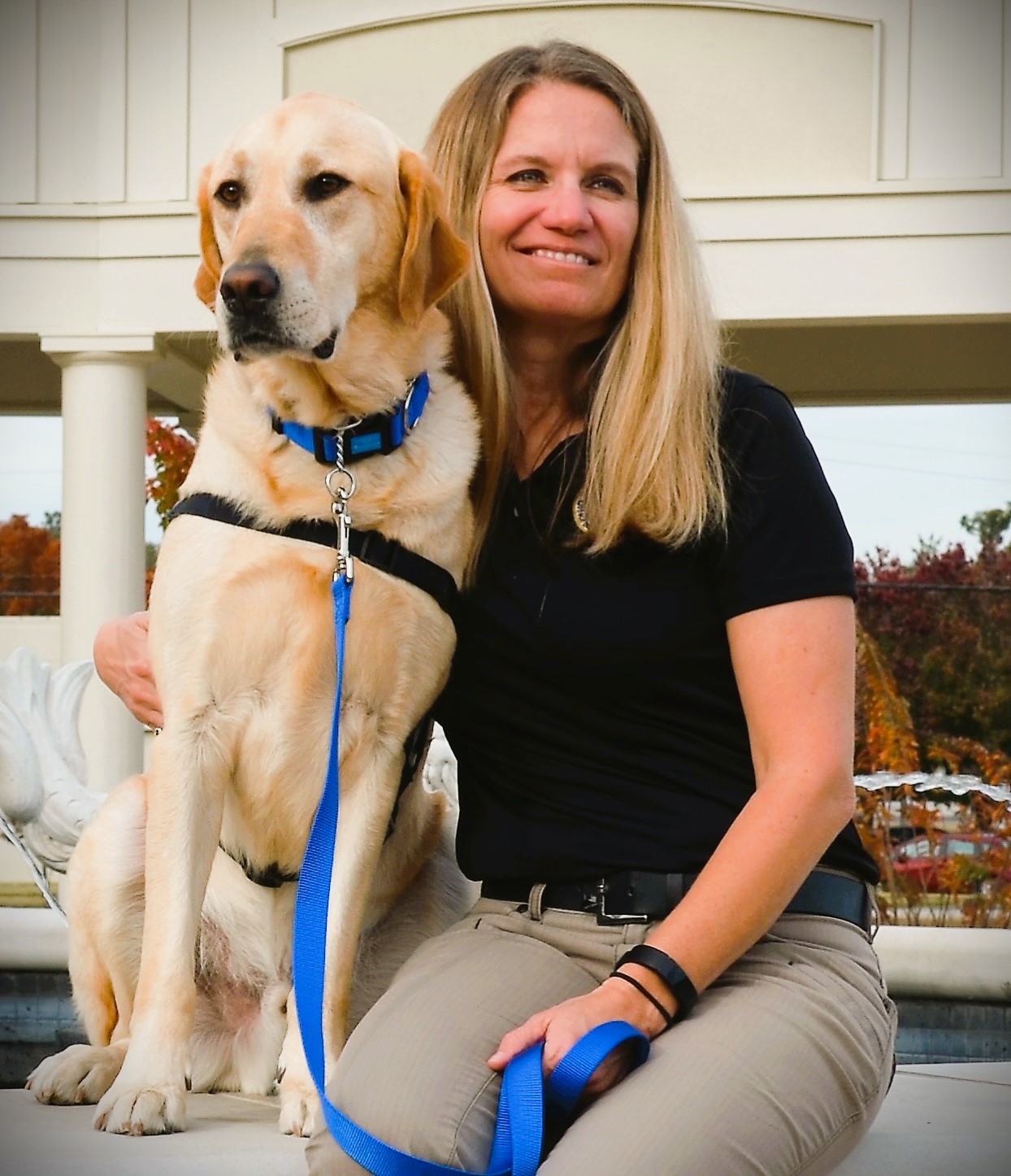 Fitz & Tonya – HERO